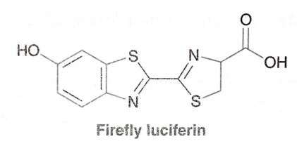 Firefly luciferin is the compound that enables fireflies to glow. a ...