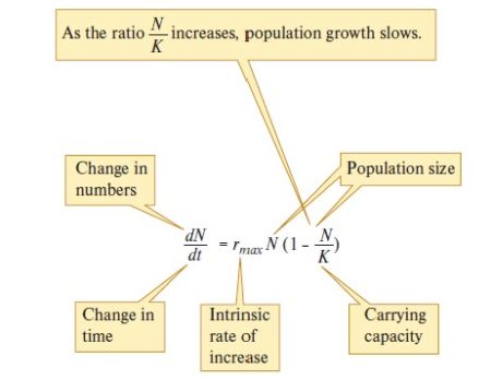 Describe, in detail, logistic and exponential growth. | Homework.Study.com