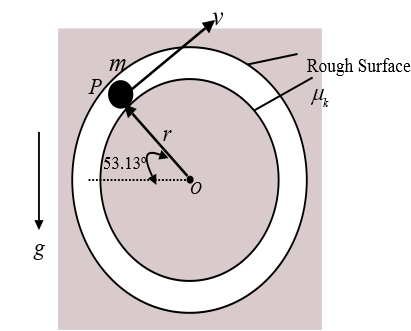 Particle P (of mass m) moves within a vertical plane inside a rough ...