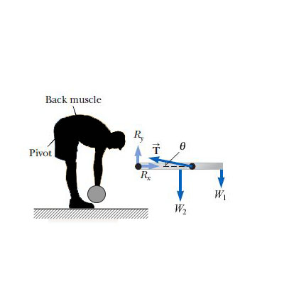 Assume a person bends forward to lift a load "with his back" as shown ...