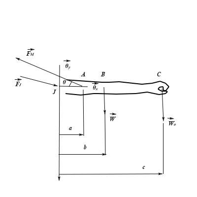 It is given diagram of a steady arm with the forearm being horizontal ...