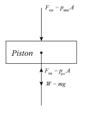 A gas contained in a piston-cylinder assembly. The piston mass and ...