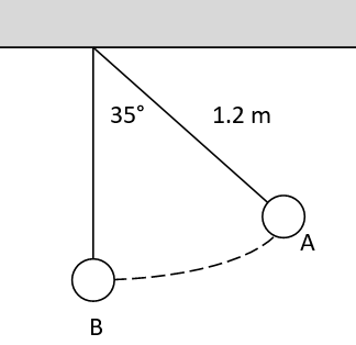 A 0.43 g pendulum bob is attached to a string 1.2 m long. What is the ...