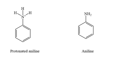Draw the structure of protonated aniline (anilinism ion) and its ...