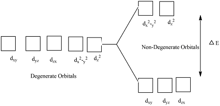 How do the d-orbitals of a transition metal ion become non-degenerate ...