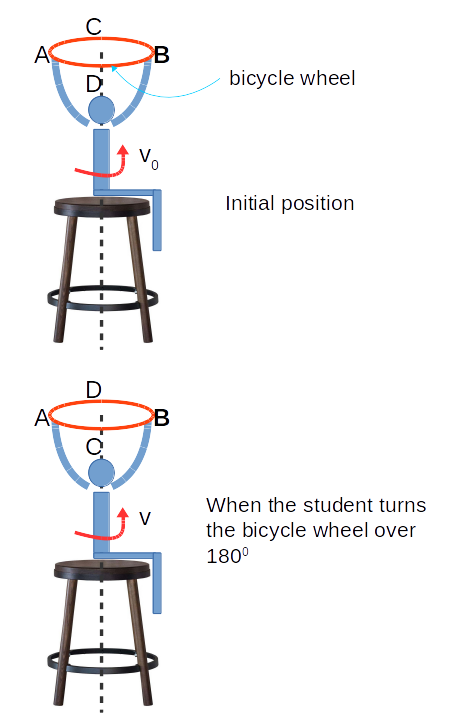A student sits motionless on a stool that can turn friction-free about ...