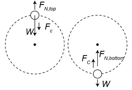 A student of weight 677 N rides a steadily rotating Ferris wheel. The ...