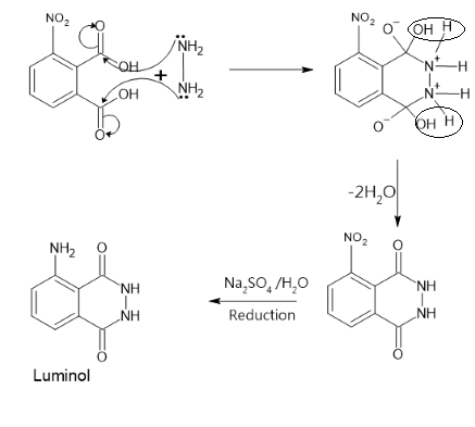 Show the ARROW PUSHING MECHANISM for the reaction of luminol synthesis ...
