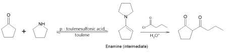Predict the final product of the following enamine reactions. Draw the ...
