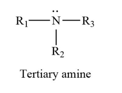 What is the difference between a tertiary amine and a tertiary alcohol ...