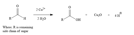 Xylose Test Draw The Reaction Scheme For A Barfoed Test With Either