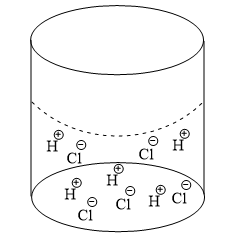Assume you have a highly magnified view of a solution of HCl that ...