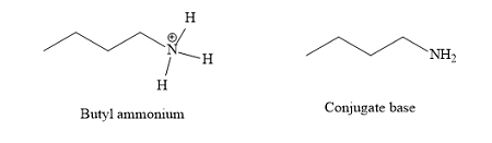 Draw the structure and its conjugate base for Butyl Ammonium ...