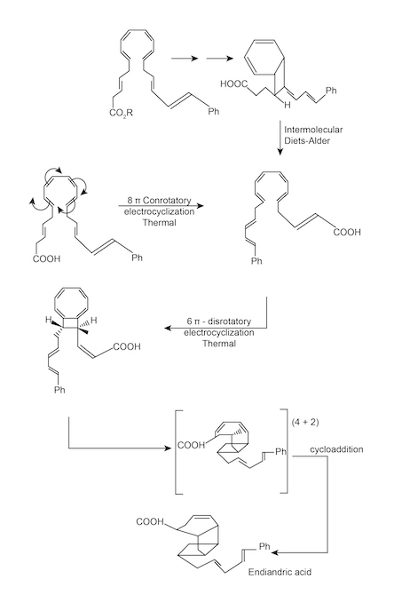 Butyl Butyrate Nmr C