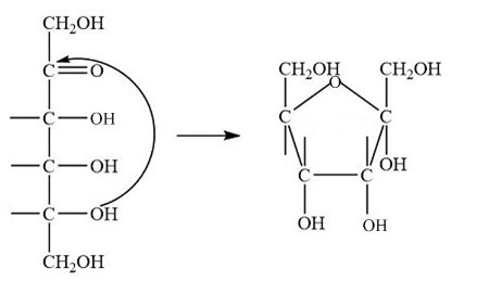 Which of the following when in cyclic form exists as a furanose ring ...