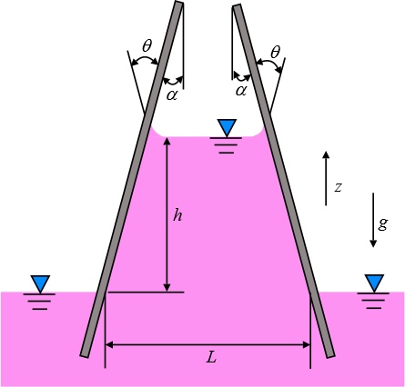 Two thin flat plates, tilted at an angle alpha are placed in a tank of ...