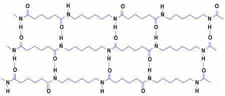 Discuss the role of inter-chain molecular interactions observed between ...