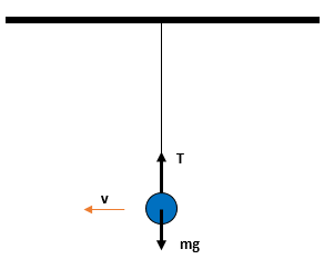 Draw a diagram of all forces acting on the pendulum when it is moving ...