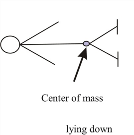 Show on a diagram of how your CM shifts when you change from a lying ...