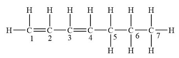 What is the molecular formula for 1,3-heptadiene? | Study.com