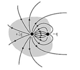 The figure shows surface enclosing the charges 2 q and -q. What is the ...