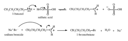 Sodium And Butanol