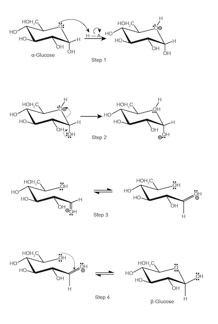 When crystals of pure a-glucose are dissolved in water, isomerization ...