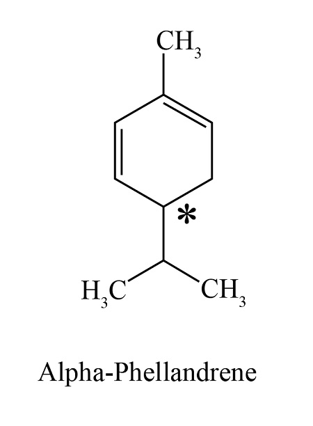 Identify chiral centers in a-phellandrene. | Homework.Study.com