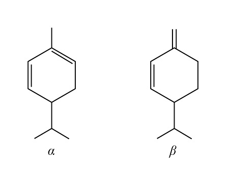 Identify chiral centers in b-phellandrene. | Homework.Study.com
