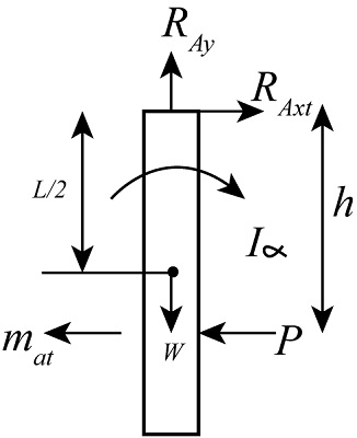 A uniform slender rod of length L, and weight W, hangs freely from a ...