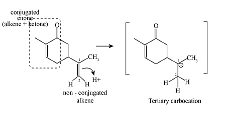 (R)-Carvone, the major component of the oil of spearmint, undergoes ...