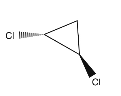 (a) Draw the products of molecular formula C_3H_4Cl_2, including ...