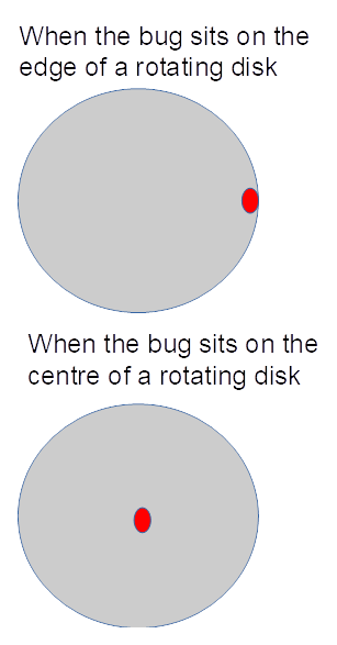 A bug sits on the edge of a rotating disk. Later, the bug begins to ...