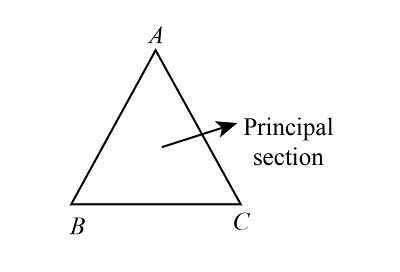 What is prism? With the help of a diagram of the principal section of a ...