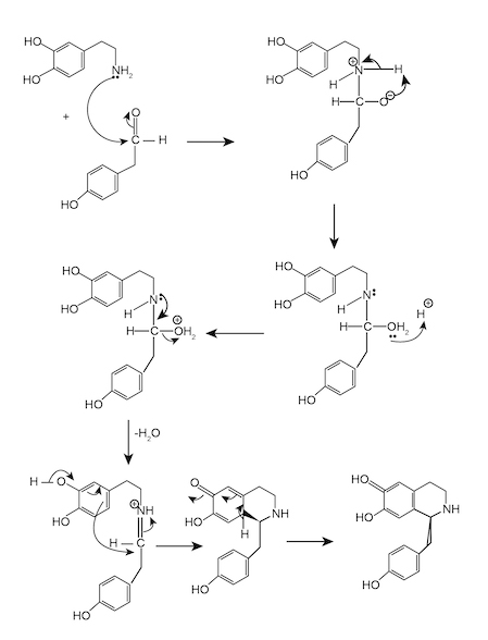 One step in the biosynthesis of morphine is the reaction of dopamine ...