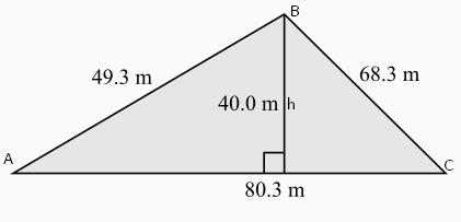 Find the area and the perimeter of the triangle. | Homework.Study.com