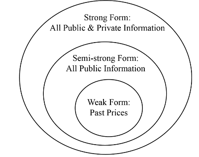 Define and explain the efficient market hypothesis, using graphs as ...