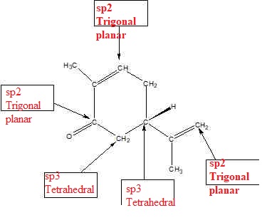 Assign geometries around each of the indicated carbon atoms in the ...