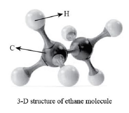 A) What is the major difference between the two-dimensional and three ...