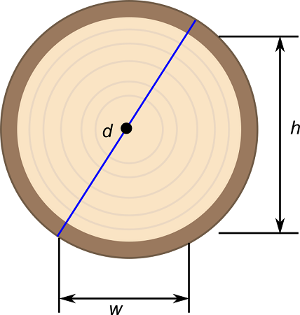 A wooden beam has a rectangular cross-section of height h in. and width ...
