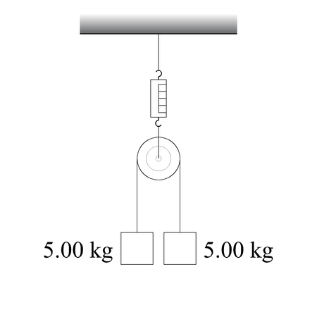 The system shown in the figure below is in equilibrium. If the spring ...