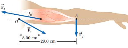 The arm in the figure below weighs 41.3 N. The gravitational force on ...