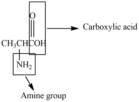 Locate and identify the functional group in the shown molecule ...
