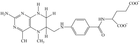Draw a mechanism for the conversion of homocysteine to methionine ...