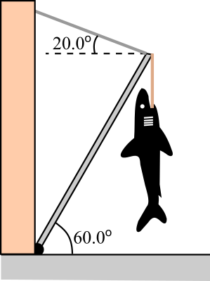 A 200 N shark is supported by a rope attached to a 4.80 m rod that can ...