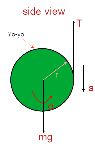 A big yo-yo (radius 0.2m, mass 20kg) has a string wrapped about its ...