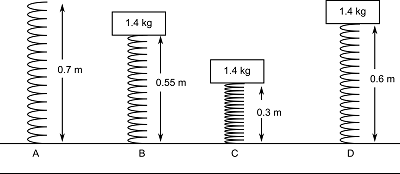 A spring is attached to a table as shown. The spring is 0.7 m long, but ...