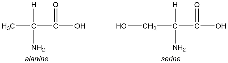 Which of the structures below corresponds to the dipeptide alanylserine ...