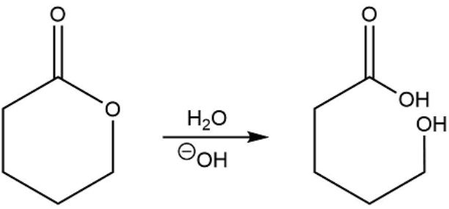 Write out the reaction mechanism for the given reaction. | Homework ...