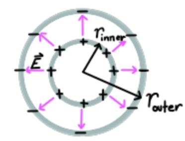 A capacitor is constructed of two concentric conducting cylindrical ...
